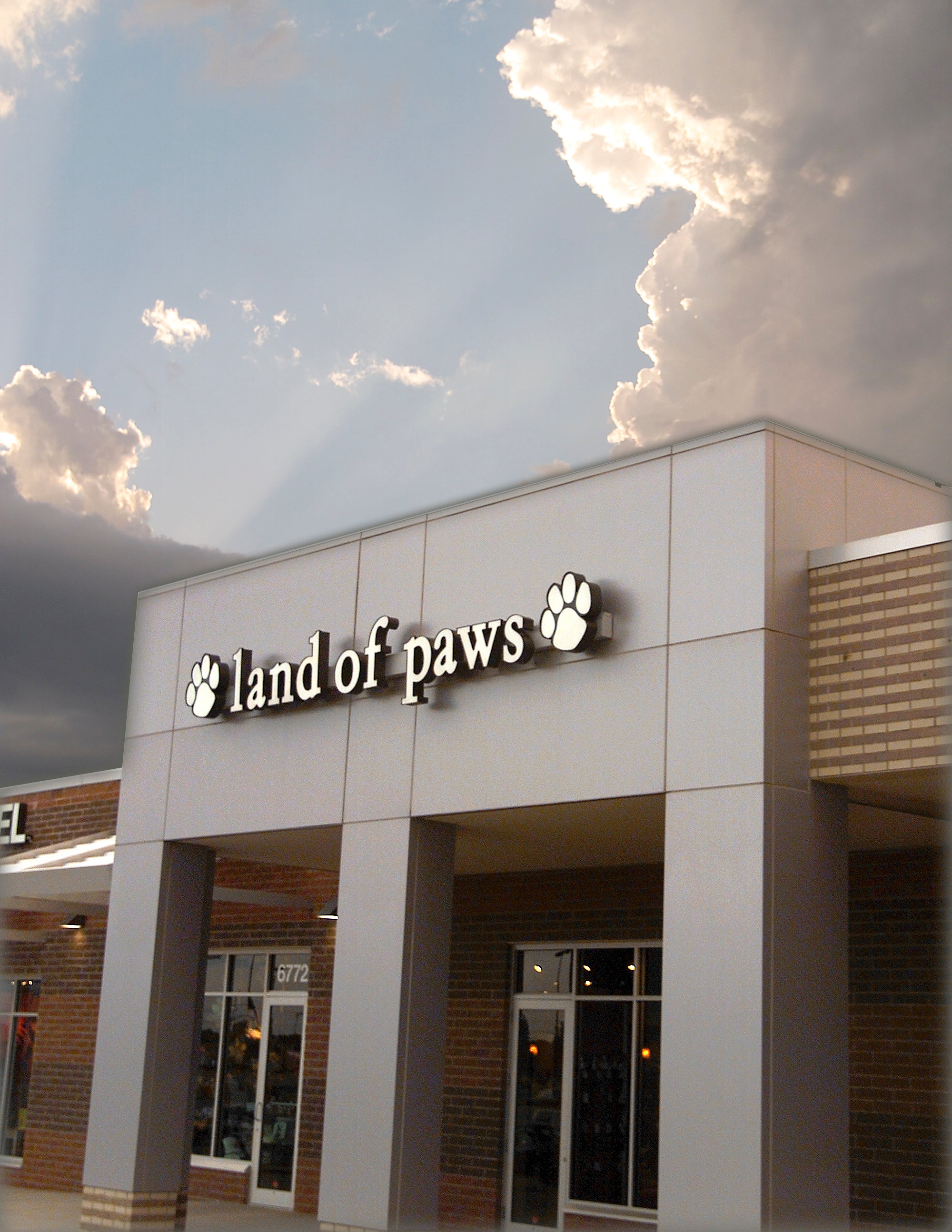 20th Anniversary Specials! – land of paws kc