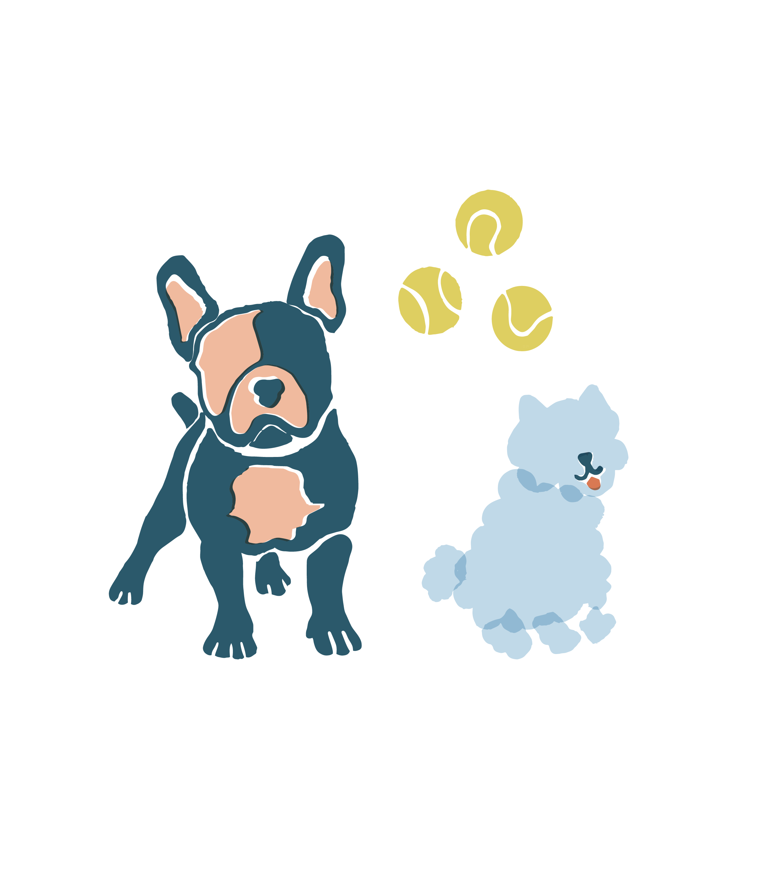 Online pet boutique offering a unique selection of dog accessories ...