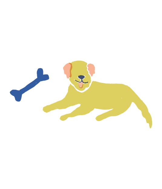 Online pet boutique offering a unique selection of dog accessories ...