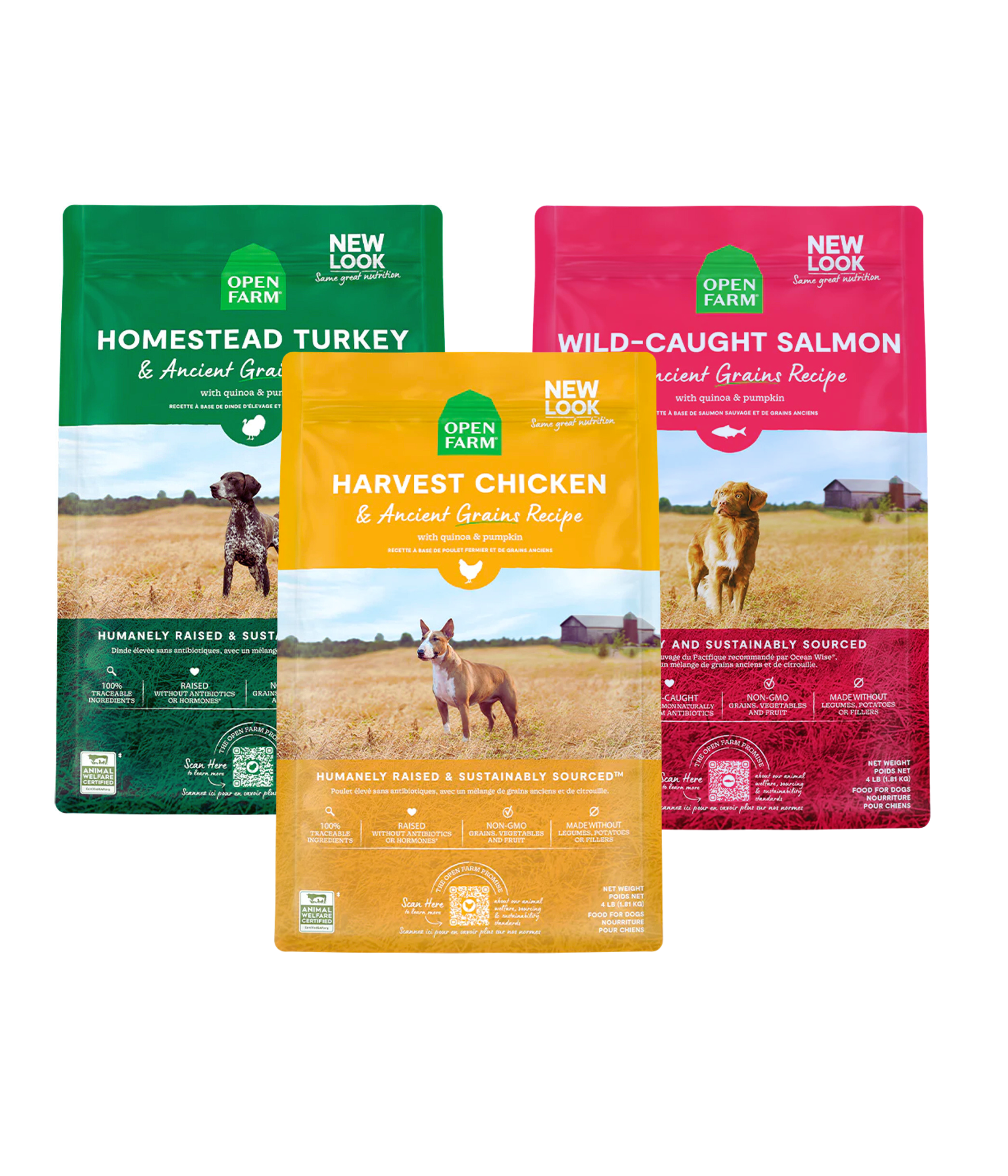 Dry Dog Food – land of paws kc
